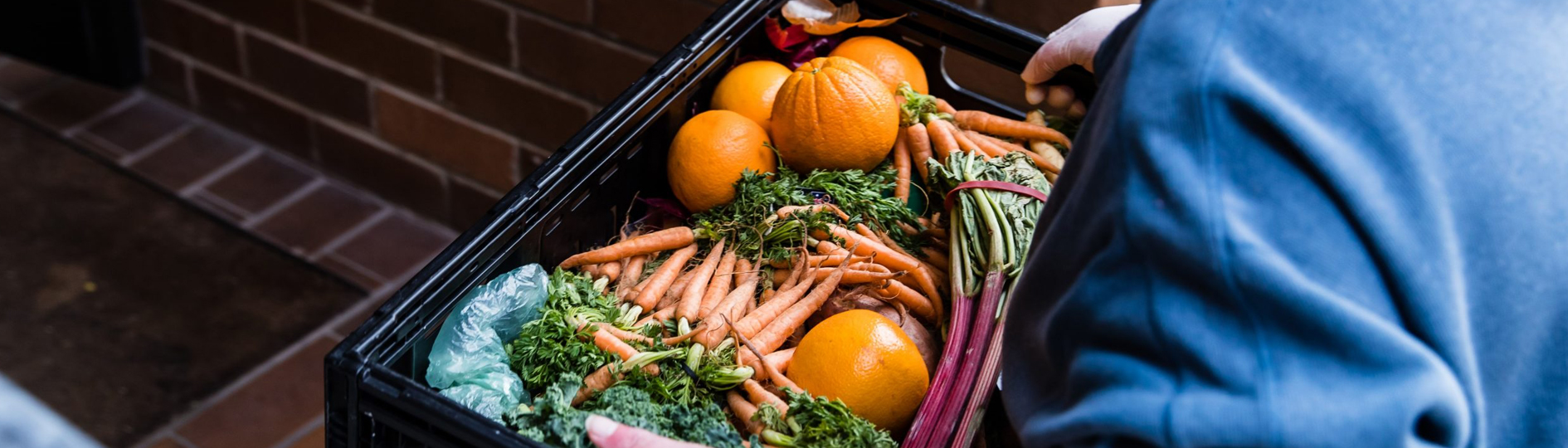 Fight food waste, save the planet! Sendle supports OzHarvest's Use It ...