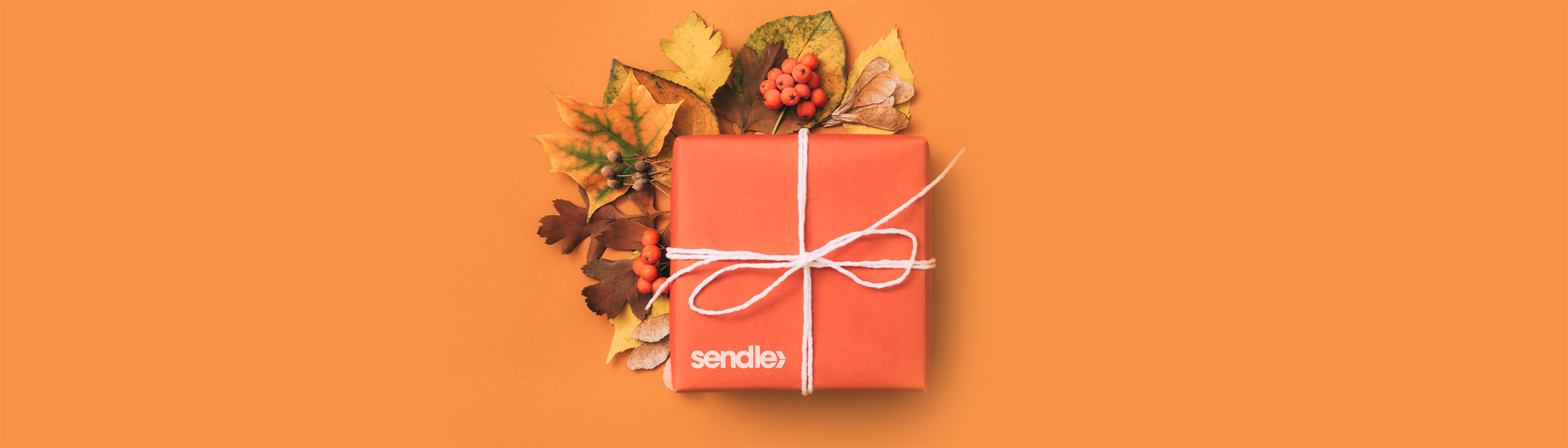 The ‘shipped with Sendle’ gift guide